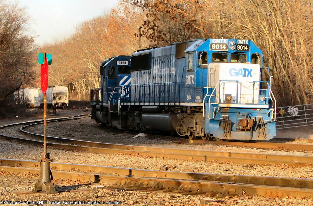 GMTX 9014 with CEFX 3164